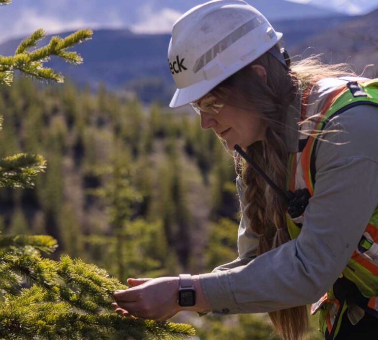 Mining in BC - Mining Association of BC