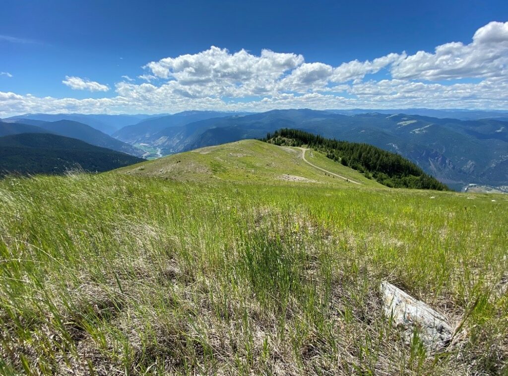 Permit to Prosperity - Mining Association of BC